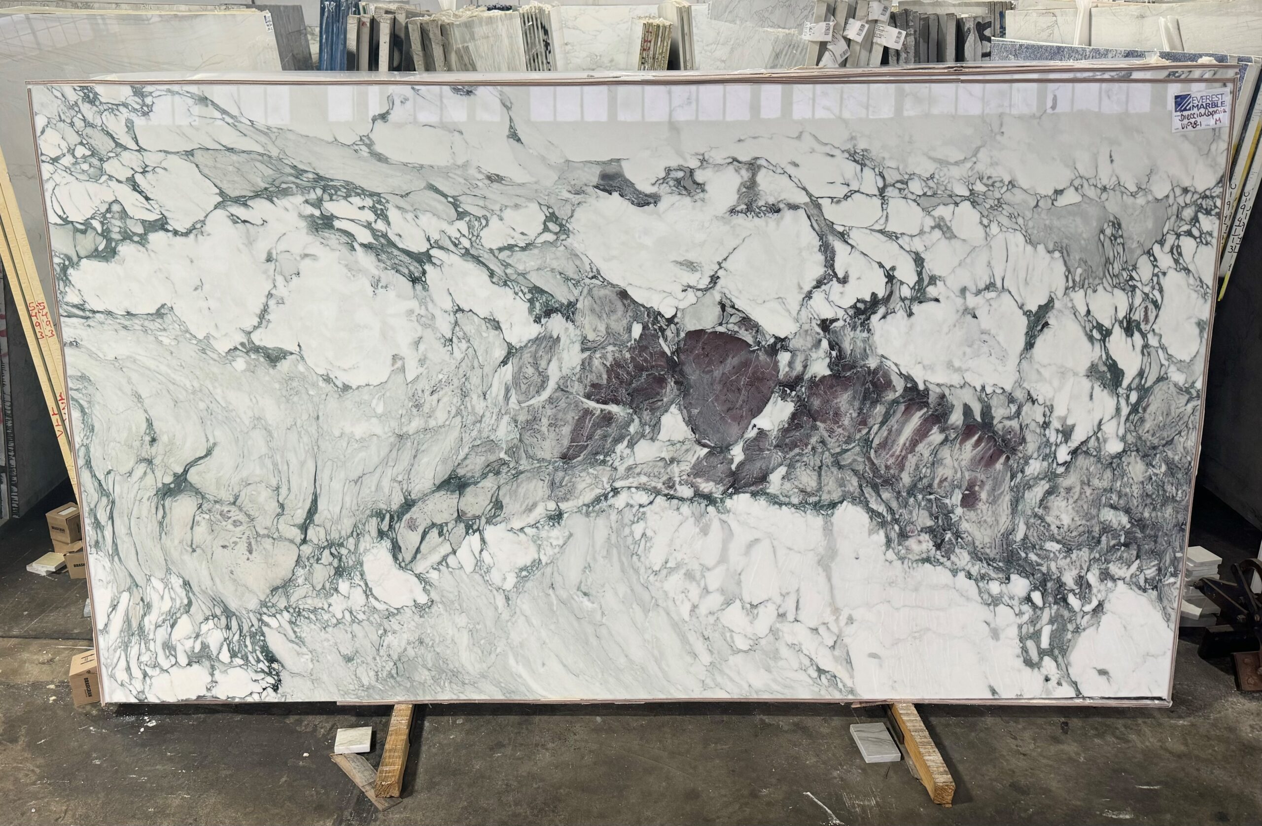 Calacatta Capri / Capraia – Everest Marble